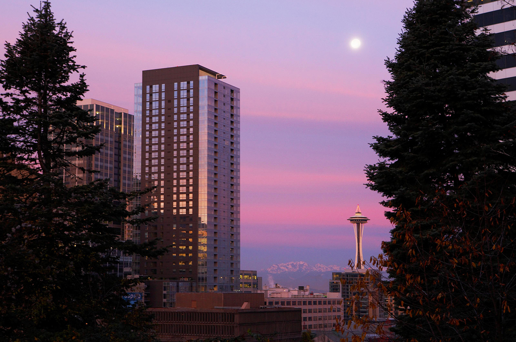 PAE | Leaders in Design-Build Project Delivery